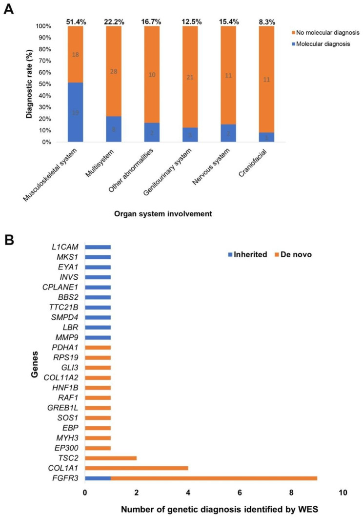 Prenatal whole-exome sequencing for fetal structural anomalies: a retrospective analysis of 145 ...