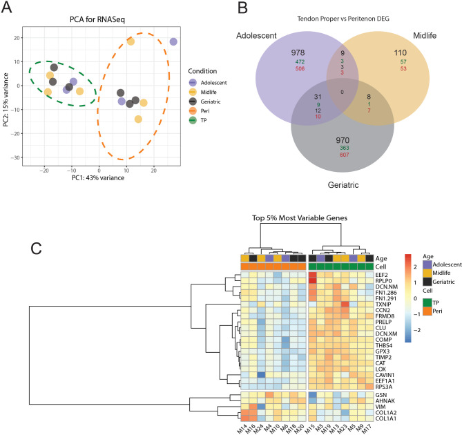 Decoding the transcriptomic expression and genomic methylation patterns ...