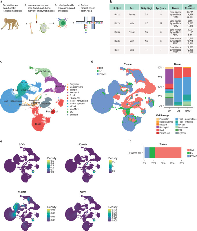 Single cell multi-omic reference atlases of non-human primate immune ...