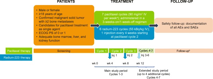Radium-223 in combination with paclitaxel in cancer patients with bone metastases: safety ...