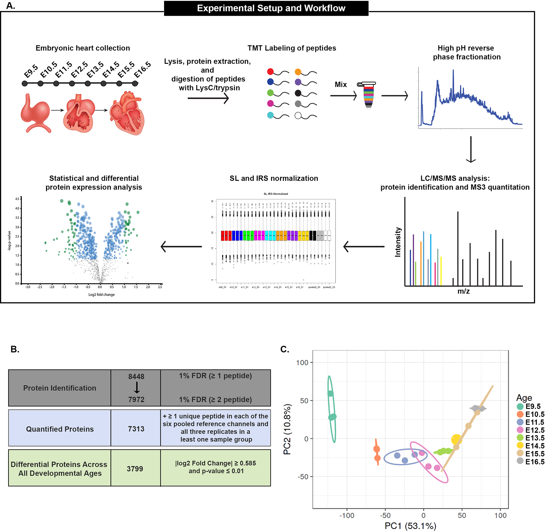 Quantitative Proteomic Profiling Identifies Global Protein Network Dynamics in Murine Embryonic ...