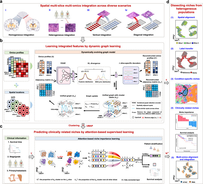 Stclinic Dissects Clinically Relevant Niches By Integrating Spatial Multi Slice Multi Omics Data