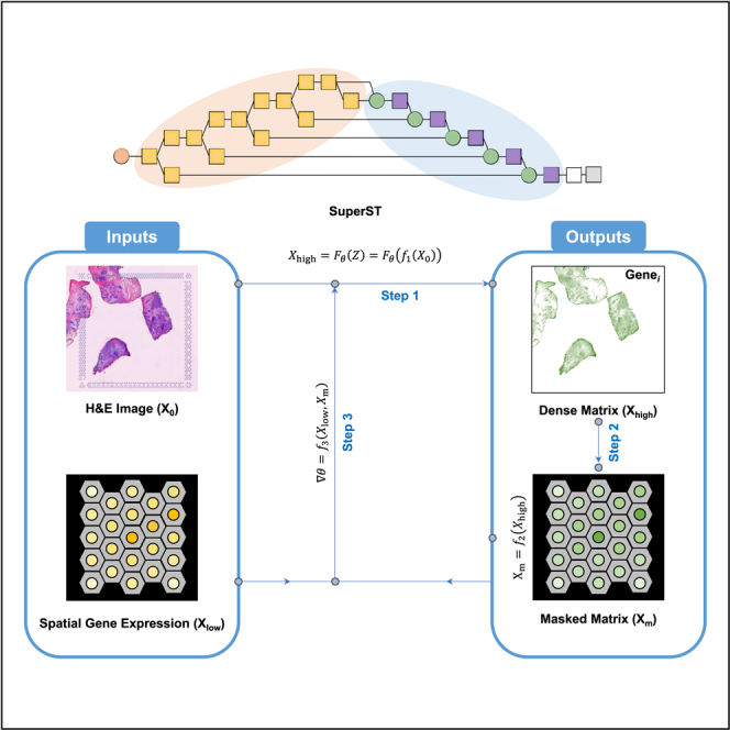 Generation of super-resolution images from barcode-based spatial transcriptomics by deep image ...