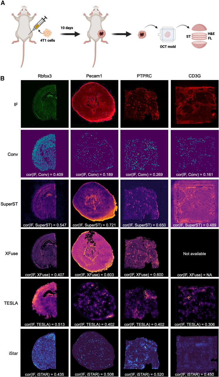 Generation of super-resolution images from barcode-based spatial transcriptomics by deep image ...