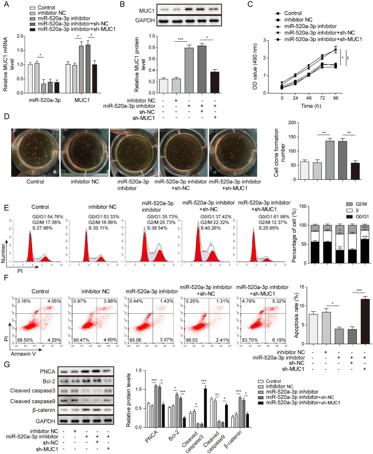 Overexpression miR-520a-3p inhibits acute myeloid leukemia progression via targeting MUC1 - PMC