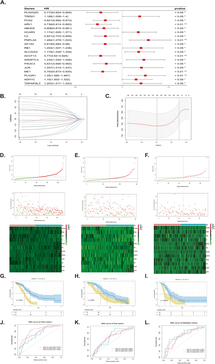 Metabolism-associated marker gene-based predictive model for prognosis, targeted therapy, and ...