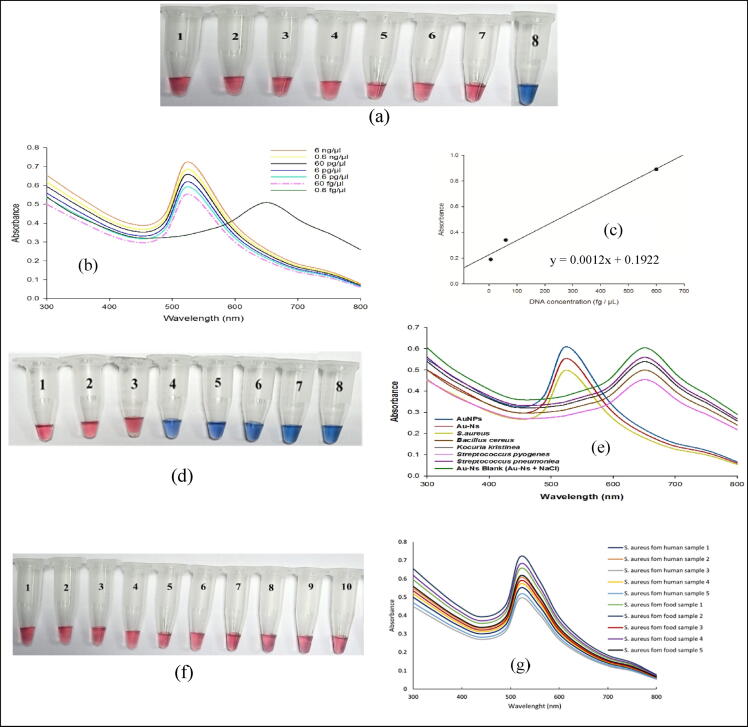 Sensitive And Selective Colorimetric Detection Of Staphylococcus Aureus Spa Gene By Engineered