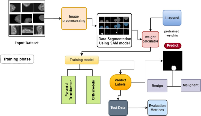 Segmentation for mammography classification utilizing deep ...