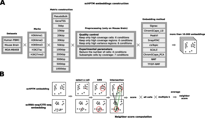 A benchmark of computational pipelines for single-cell histone modification data - PMC