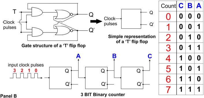 Is DNA repair controlled by a biological logic circuit? - PMC
