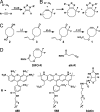 Fig. 1.