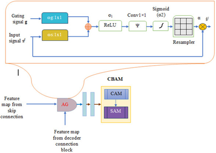 Convolutional block attention gate-based Unet framework for microaneurysm segmentation using ...