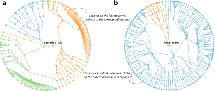 EMNPD: a comprehensive endophytic microorganism natural products database for prompt the ...