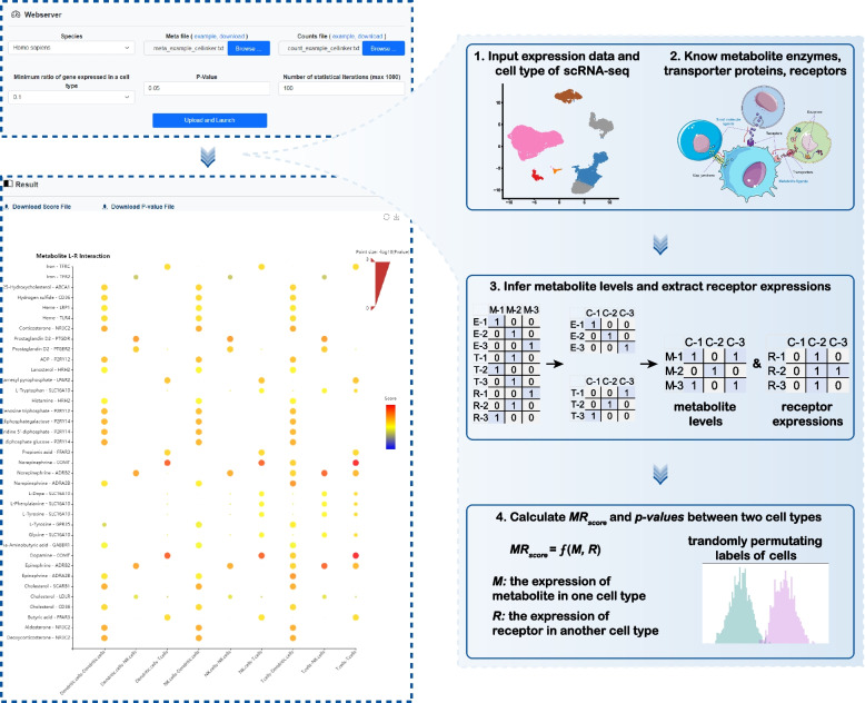 Predicting intercellular communication based on metabolite-related ligand-receptor interactions ...