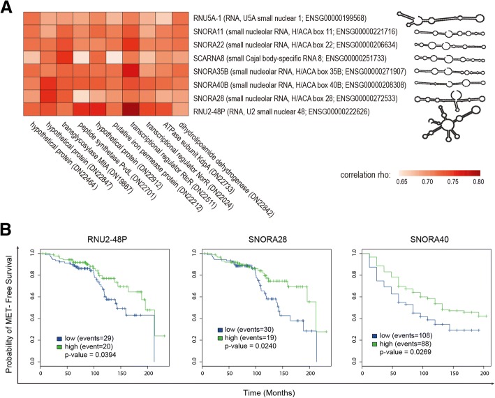 Metagenomic And Metatranscriptomic Analysis Of Human Prostate Microbiota From Patients With