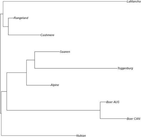 Genetic diversity and signatures of selection in various goat breeds revealed by genome-wide SNP ...