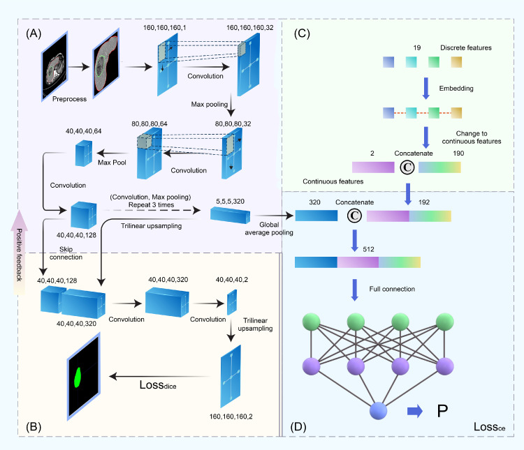 Multi-task deep learning network to predict future macrovascular ...