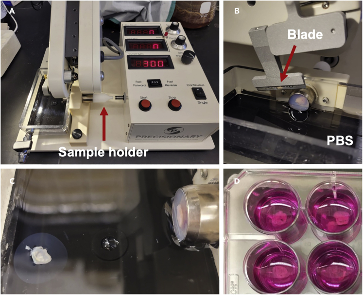Protocol to isolate live single cells while retaining spatial information by combining cell ...