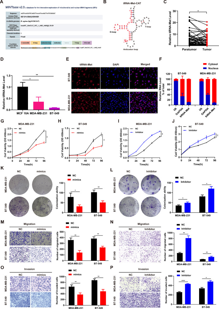 The novel tRNA-derived fragment, tiRNA-Met, inhibits the malignant progression of triple ...