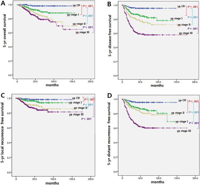 Clinical prediction model of pathological response following neoadjuvant chemoradiotherapy for ...