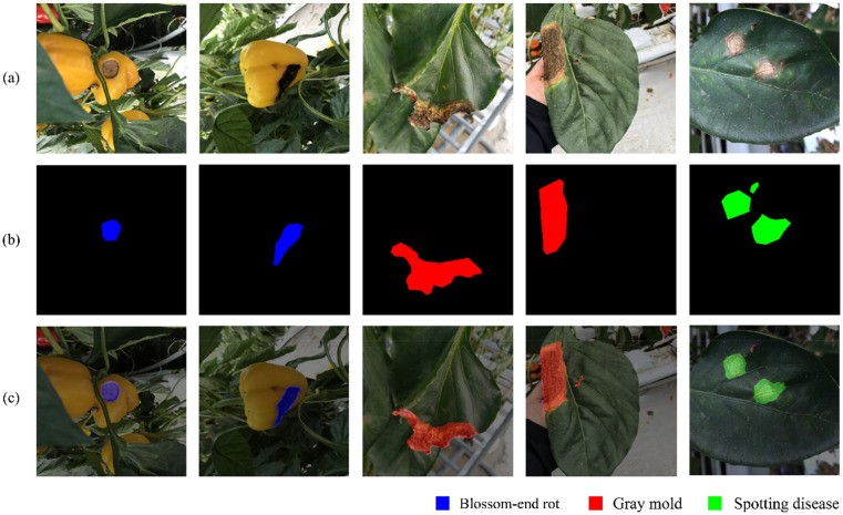A pixel-level coarse-to-fine image segmentation labelling algorithm - PMC
