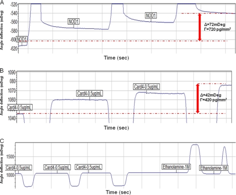 FIGURE 3.