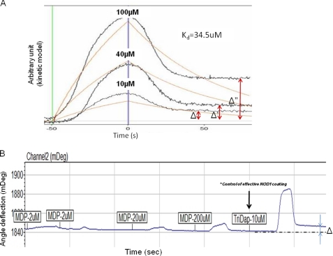 FIGURE 4.