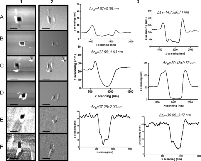 FIGURE 2.
