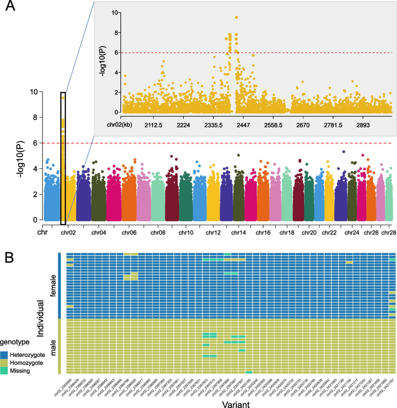 Characterization Of The Sex Determining Region And Development Of A Molecular Sex Identification