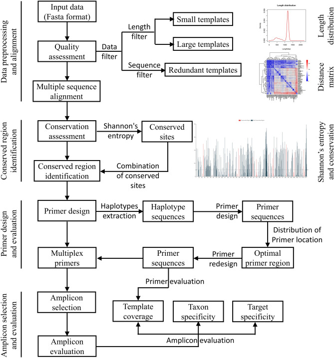 A tool to automatically design multiplex PCR primer pairs for specific targets using diverse ...