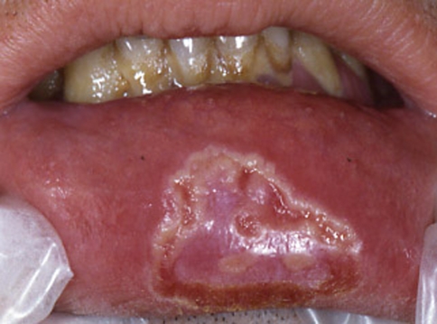 Fig. 7