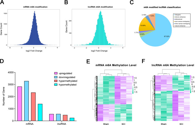 Characterization of the Expressions and m6A Methylation Modification Patterns of mRNAs and ...