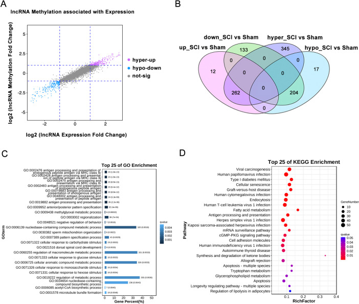 Characterization of the Expressions and m6A Methylation Modification Patterns of mRNAs and ...