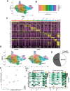 Shared and Compartment-Specific Processes in Nucleus Pulposus and Annulus Fibrosus During ...