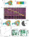 Shared and Compartment-Specific Processes in Nucleus Pulposus and Annulus Fibrosus During ...