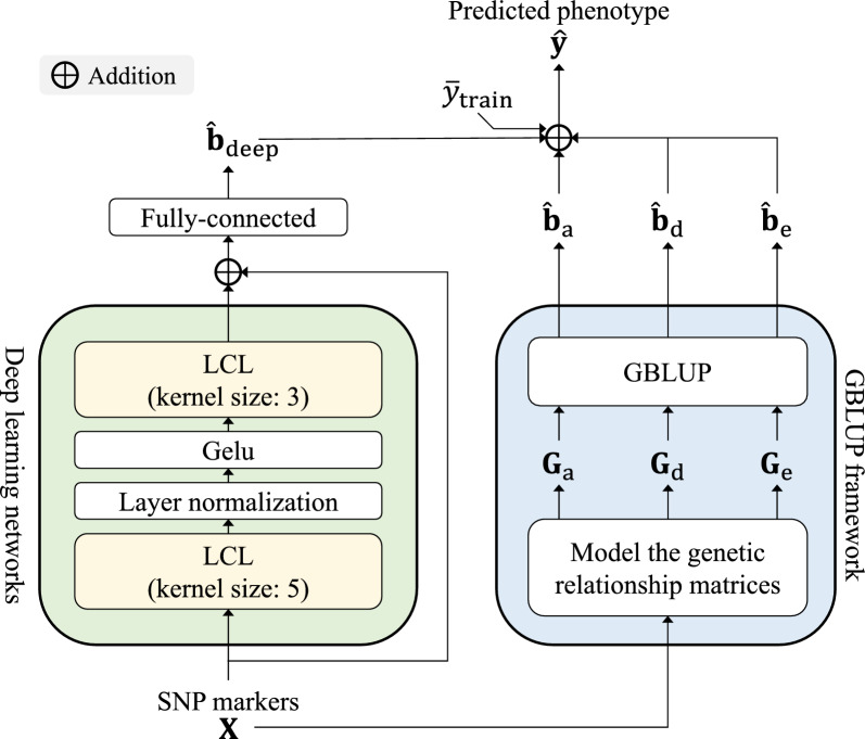 deepGBLUP: joint deep learning networks and GBLUP framework for ...
