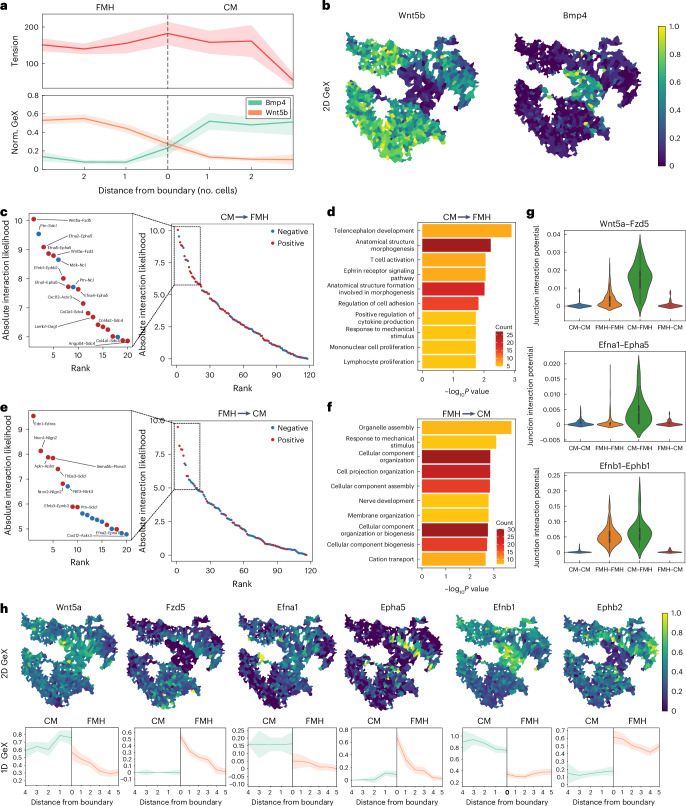 A computational pipeline for spatial mechano-transcriptomics - PMC