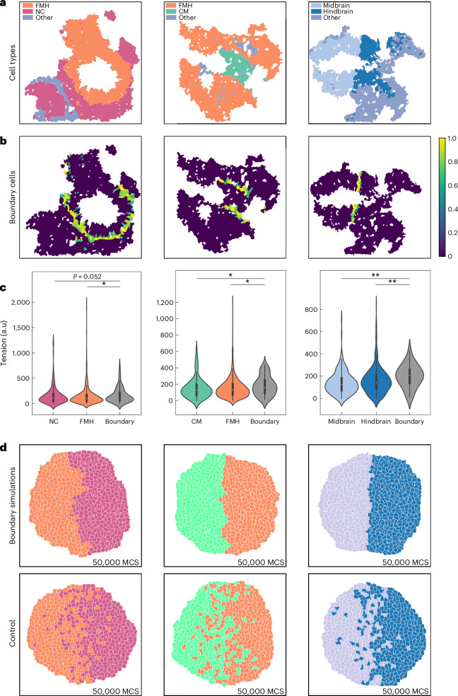 A computational pipeline for spatial mechano-transcriptomics - PMC