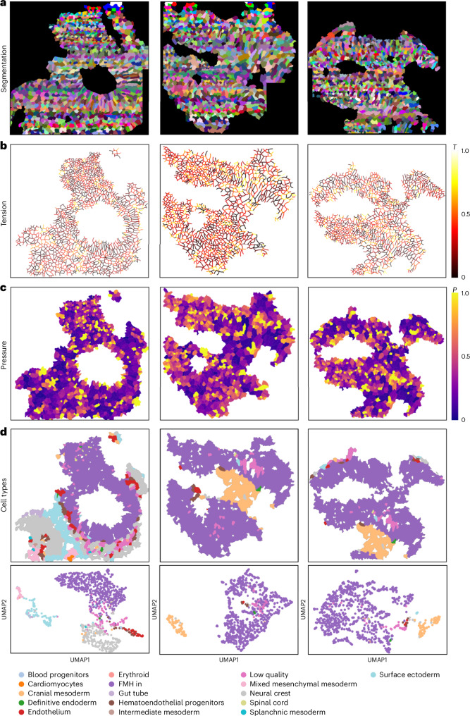 A computational pipeline for spatial mechano-transcriptomics - PMC