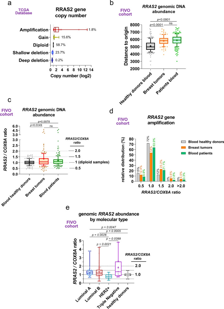 Unmutated RRAS2 emerges as a key oncogene in post-partum-associated triple negative breast ...
