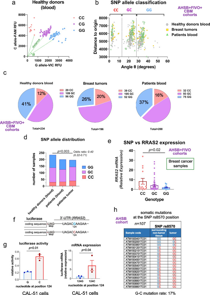 Unmutated RRAS2 emerges as a key oncogene in post-partum-associated triple negative breast ...