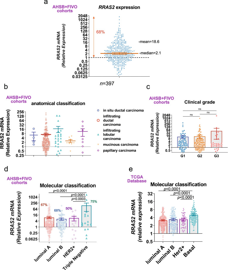 Unmutated RRAS2 emerges as a key oncogene in post-partum-associated triple negative breast ...