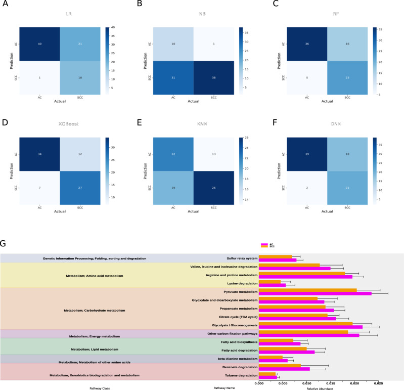 Classification of NSCLC subtypes using lung microbiome from resected tissue based on machine ...