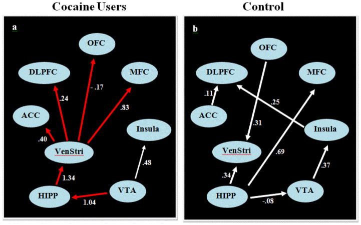 Modeling Causal Relationships among Brain Areas in the Mesocorticolimbic System during Resting ...