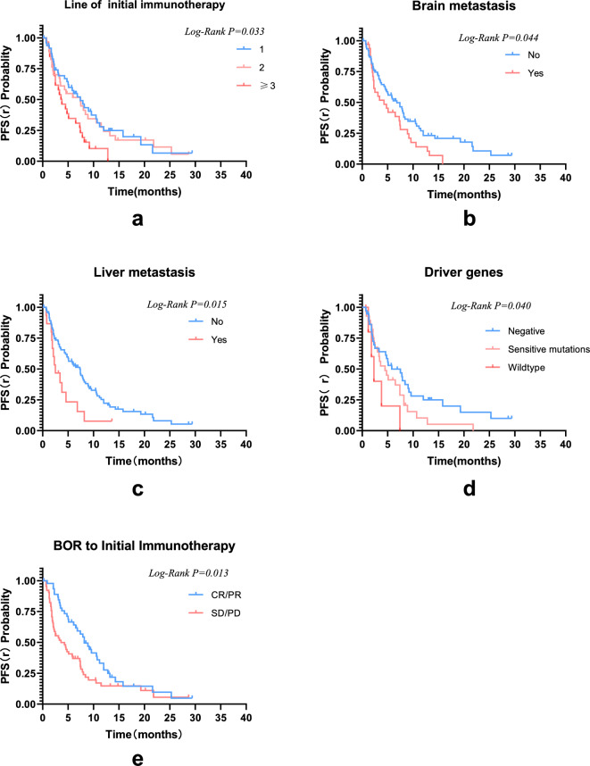 Safety and efficacy of immune checkpoint inhibitor rechallenge in advanced non-small cell lung ...
