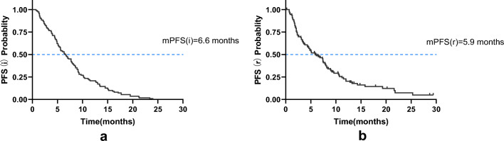 Safety and efficacy of immune checkpoint inhibitor rechallenge in advanced non-small cell lung ...