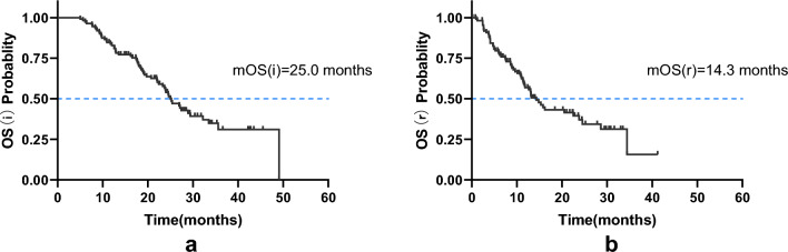 Safety and efficacy of immune checkpoint inhibitor rechallenge in advanced non-small cell lung ...