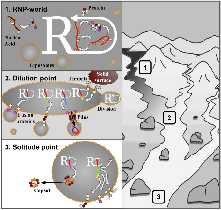 The bubble theory: exploring the transition from first replicators to ...