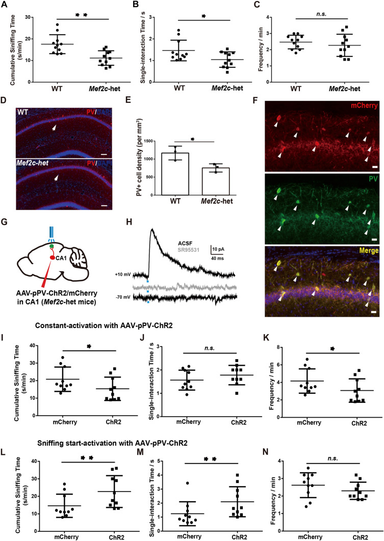 Gating Of Social Behavior By Inhibitory Inputs From Hippocampal Ca1 To Retrosplenial Agranular