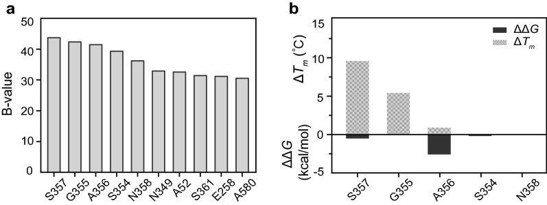 Improving the thermostability of GH49 dextranase AoDex by site-directed mutagenesis - PMC